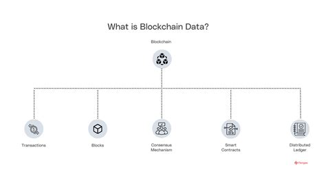 low latency blockchain data and why it s important