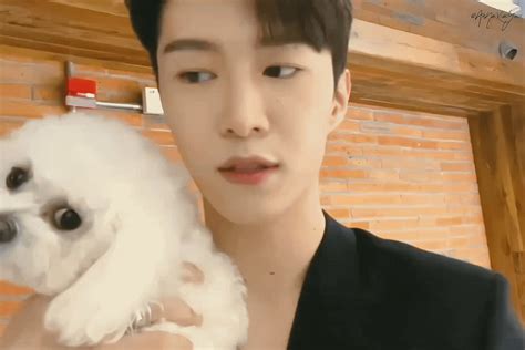 Pin Oleh Susanti Hanie Di Adam Fan