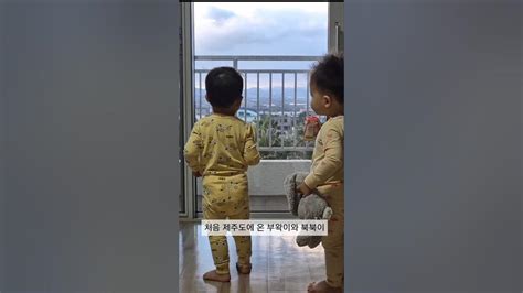 22개월 쌍둥이와 제주도 여행 쌍둥이 제주도 명리동식당 아쿠아플라넷 무우수커피로스터스 색달해수욕장 먹자씨연탄구이 소노벨제주 Youtube