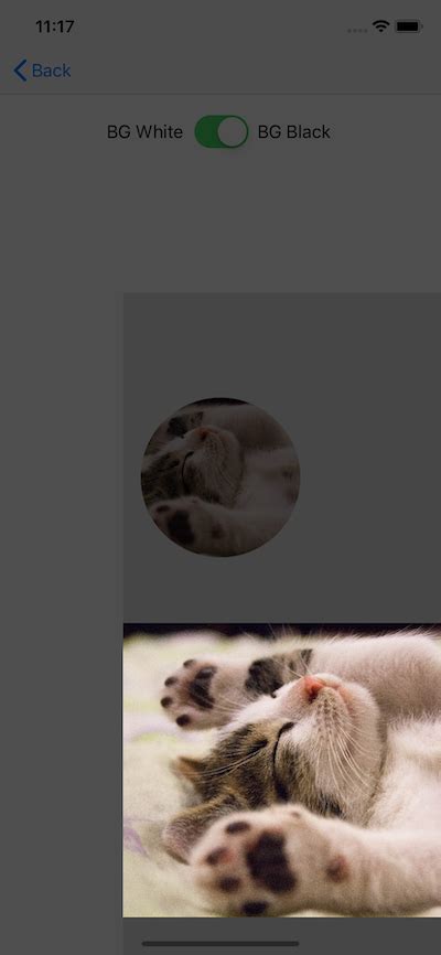 Dismiss Transition And Present Transition Between Uiviewcontroller