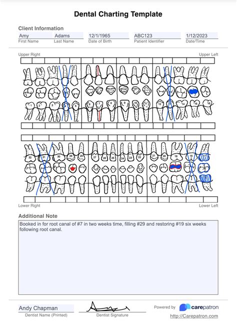 Printable Dental Charting Template