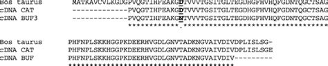 Clustal W 183 Multiple Amino Acids Sequence Alignment Of Superoxide