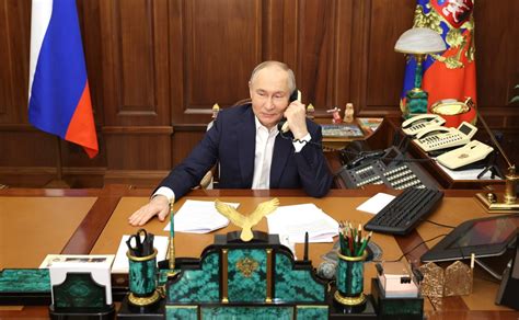 Путин Трамп быстро наведёт порядок ИА Rex