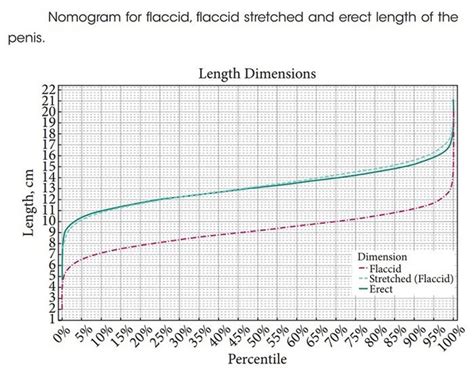 2024 The Real Truth About Penis Size
