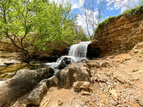 The Return Of The Majestic Elk In Arkansas Somewhere In Arkansas