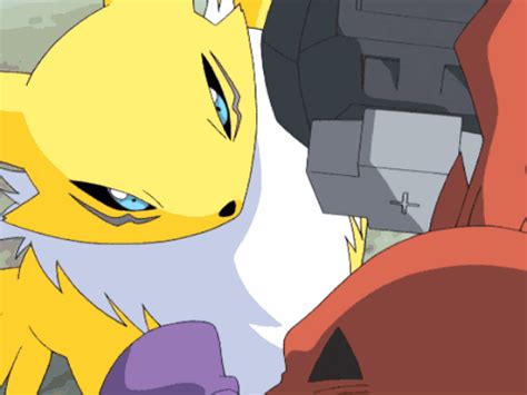 Renamon Digimon Gif Renamon Digimon Digimon Discover Share Gifs