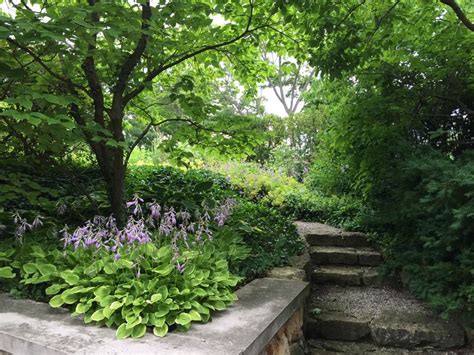 Backyard Garden Ideas That Work For North Carolina Homes