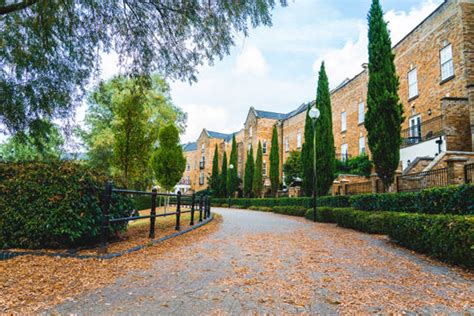 Do Trees Increase Property Value Take A Bough Tree Care