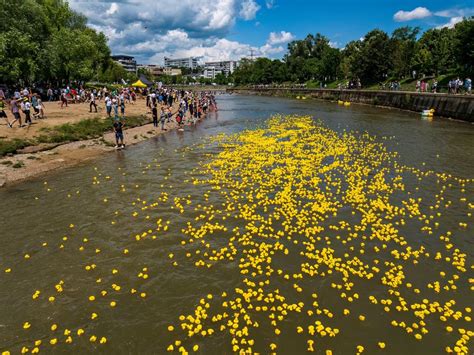 Cursa De Rățuște Revine Pe Someș Eveniment Caritabil Premii Atractive