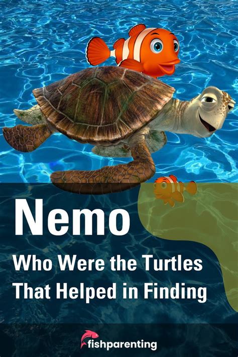 What Are The Turtle Names From Finding Nemo Turtle Turtle Names Nemo
