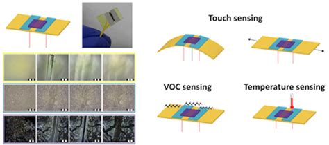 Self Healing Sensor Improves Electronic Skin ApplySci Deep Tech Health Neurotech