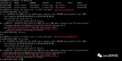 docker中的bridge模式，可以这么设置 docker host改bridge csdn博客