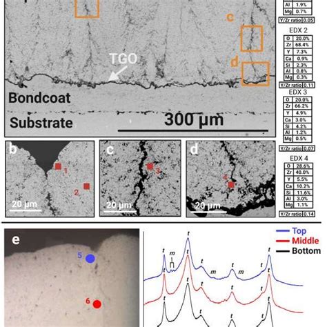The Cross Sectional Bse Images Edx Point Analysis In Wt And Raman Download Scientific