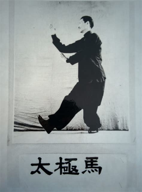 Fundamentals Tcmainstitute 南北國術研究社