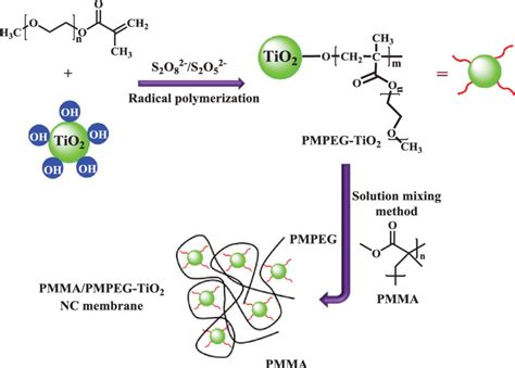 Scheme 1 Surface Modification Of Tio 2 Nanoparticles By Radical