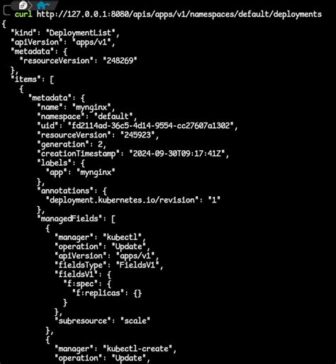 how to communicate with the kubernetes api api server