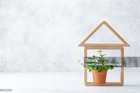 화분에 녹색 관엽식물 페페로미아가 있는 목조 작은 집의 모델 에코 리빙 및 홈 가드닝 개념 0명에 대한 스톡 사진 및 기타 이미지 Istock