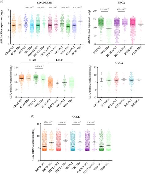 agr2 gene expression levels are associated with oncogene and tsg
