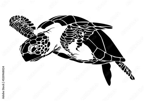 Graphic Sea Turtlevector Illustration Of Sea Turtlevector Of Turtle