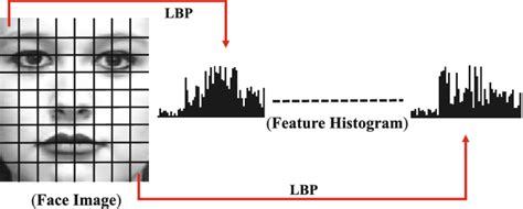 lbp based face description download scientific diagram