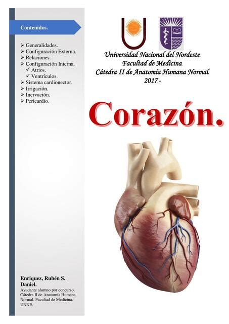 Corazón Yudoc Org Udocz