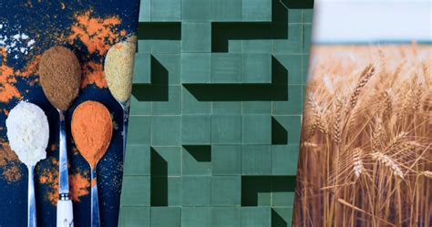 14 Fundraising Ideas To Spice Up Your Donation Forms GiveWP