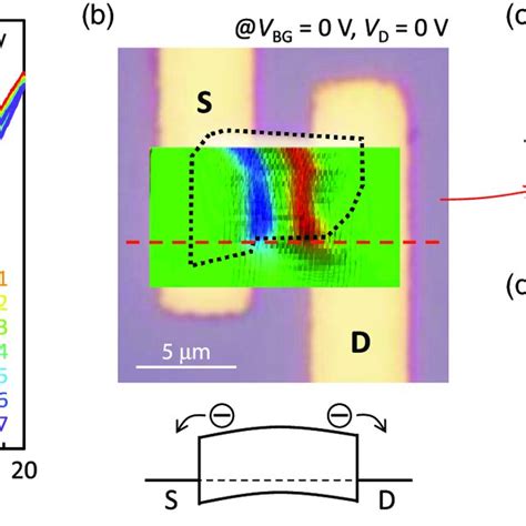 A Optical Micrograph Of A Bulk Pdse2 Photodetector Prepared On An