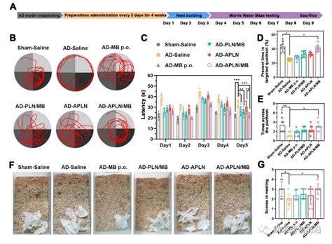 中国药科大学周建平 丁杨团队as：仿生脂质纳米复合物组装体实现“药物 载体”协同清除aβ和抑制tau蛋白磷酸化治疗 腾讯云开发者社区 腾讯云
