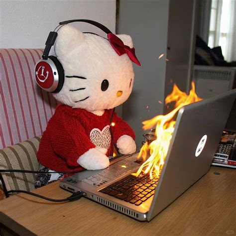 Hello Kitty Meme In 2025 Hello Kitty Pictures Hello Kitty Hello