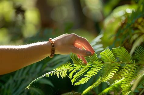Human Interaction With Nature Womans Hand Touching A Fern Leaf