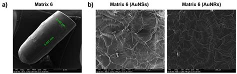 3d Printed Plasmonic Nanocomposites Vat Photopolymerization For Photothermal Controlled Drug