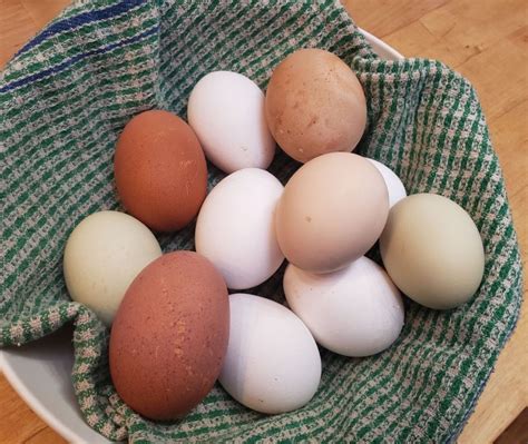 Geraldine Mongold On Linkedin Every Day Is Easter Egg Day At My House