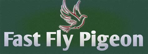Fast Fly Pigeon