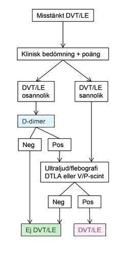 Hemostas Flashcards Quizlet