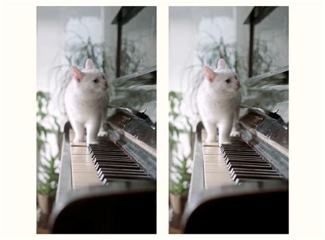 Make Ken Burns Effect Online For Free — Kapwing