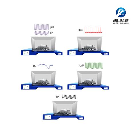 生物信号采集处理系统 北京科月华诚科技有限公司