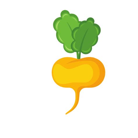 Turnip Root Free Svg