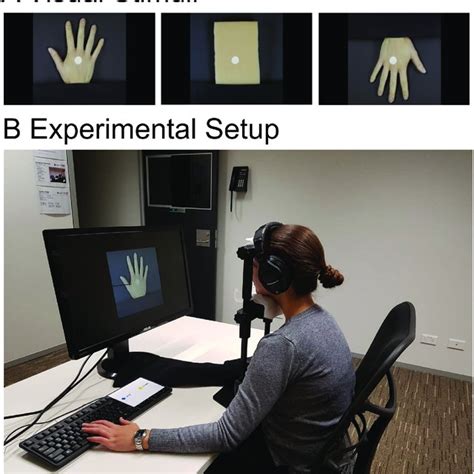 Visual Stimuli And Experimental Setup A Screenshots Of The Videos Download Scientific