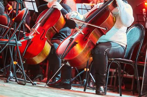 Stringed Musical Instrument Double Bass In The Orchestra Stock Image Image Of Detail