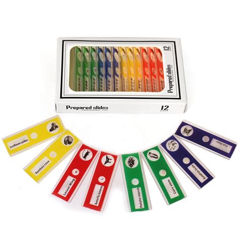 Handheld Microscope Kit 60 120x Pocket Microscope Grandado