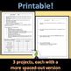 Geometry Logic Project Printable PDF Version Choice Project TPT