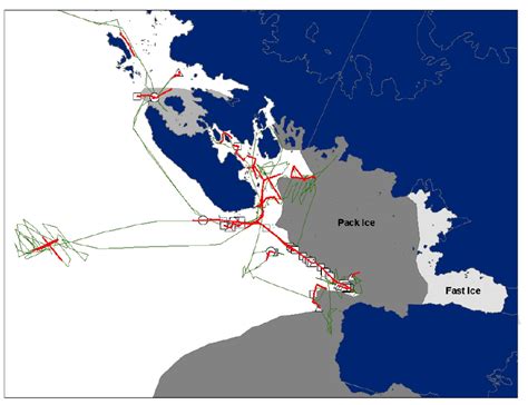 Lmg 0203 All Cetacean Sightings With On And Off Effort Along Cruise