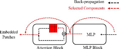 Table 1 From Improving The Adversarial Transferability Of Vision Transformers With Virtual Dense