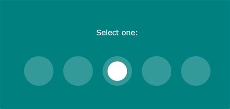 Custom Radio Button Input Radio Button New Examples