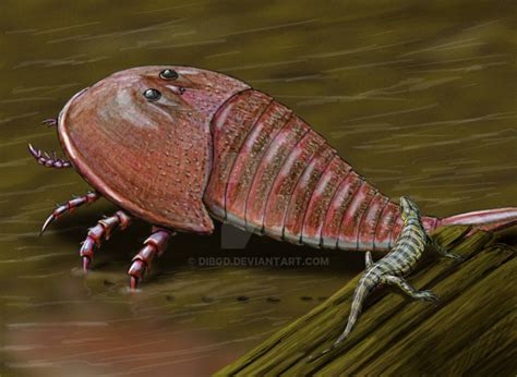 Hibbertopterus And Casineria By Dibgd On Deviantart