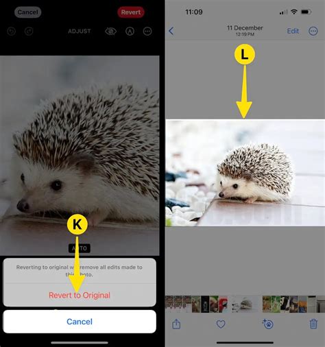 How To Crop Photos On IPhone Using Photos App In Ways