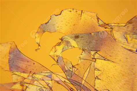 Light Micrograph Background Images Hd Pictures And Wallpaper For Free