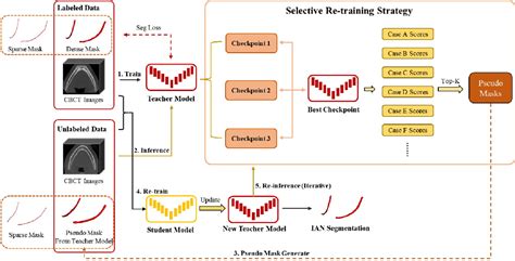 Inferior Alveolar Nerve Segmentation In Cbct Images Using Connectivity Based Selective Re