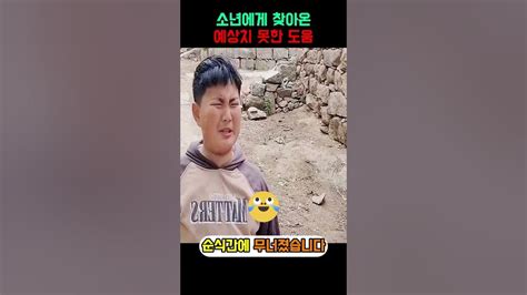 우는 소년에게 찾아온 예상치 못한 도움 Youtube