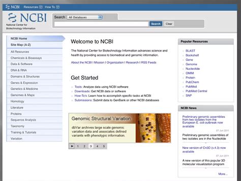 Role Of Bioinformatics In Life Sciences Research Ppt Databases
